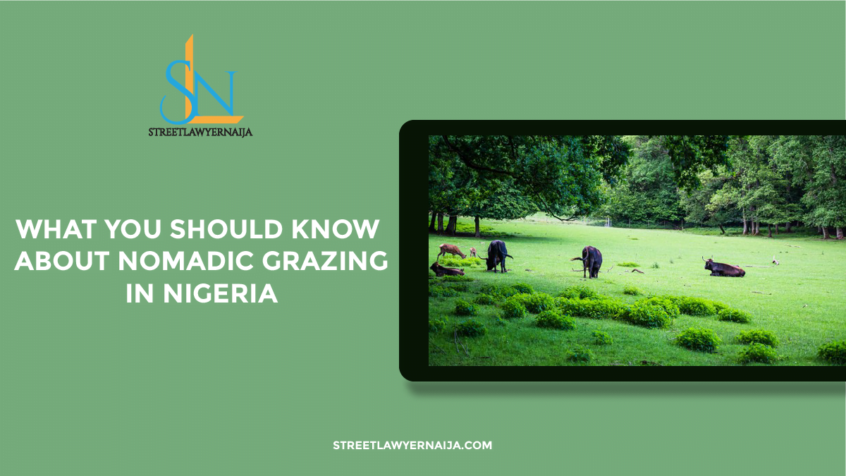 What You Should Know About Nomadic Grazing in Nigeria